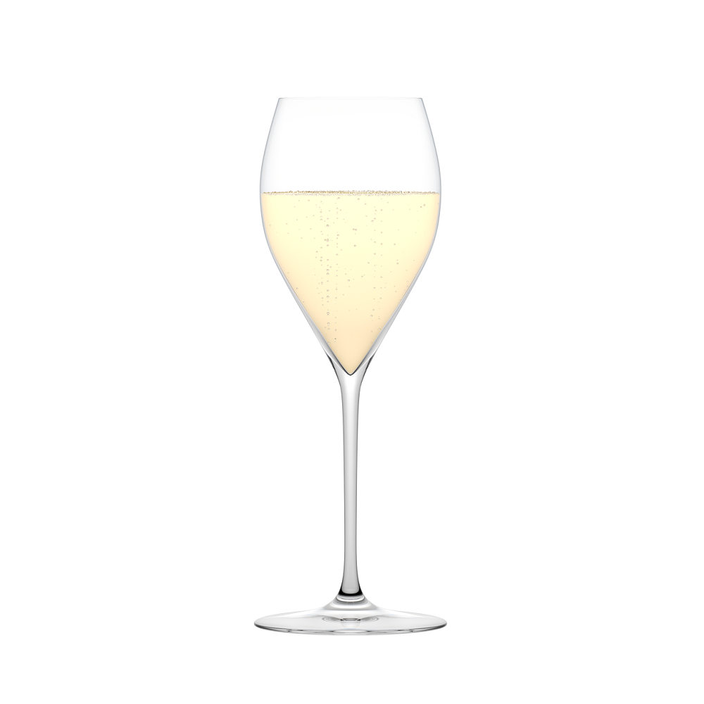 Plumm Everyday Sparkling Wine Champagne Flute 210 ml – Santos Online ...